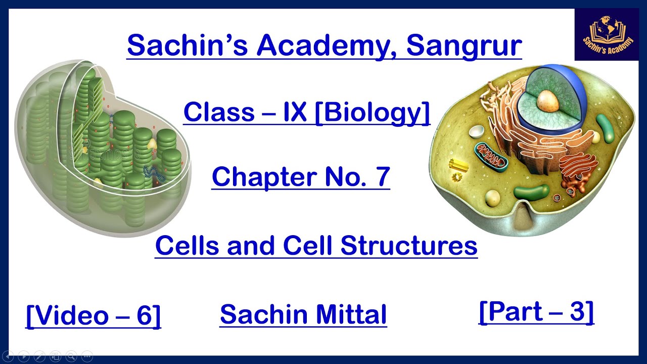 Cells and Cell Structures [Part 3] Class IX - Biology - YouTube