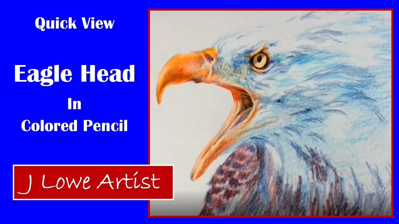 TIME LAPSE COLOR PENCIL DRAWING: Eagle Head in Colored Pencil - YouTube