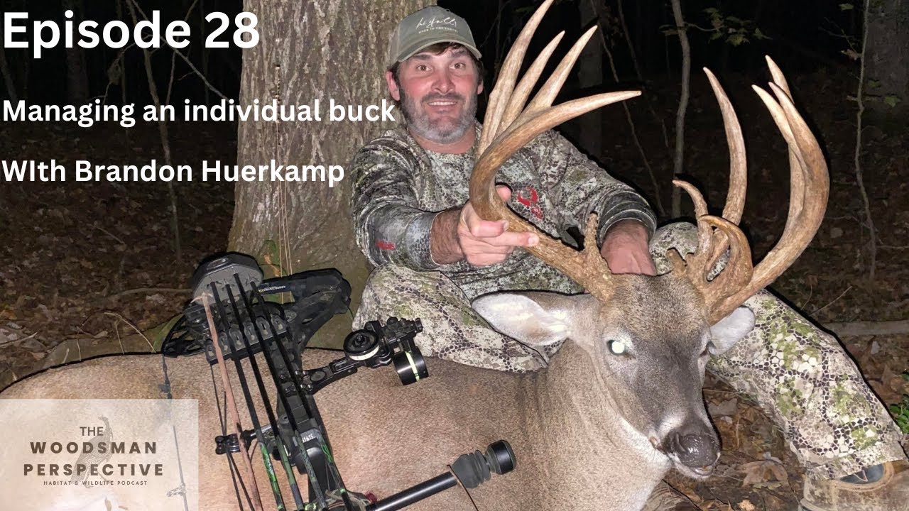 Episode 28: Managing an Individual buck with Brandon Huerkamp - YouTube