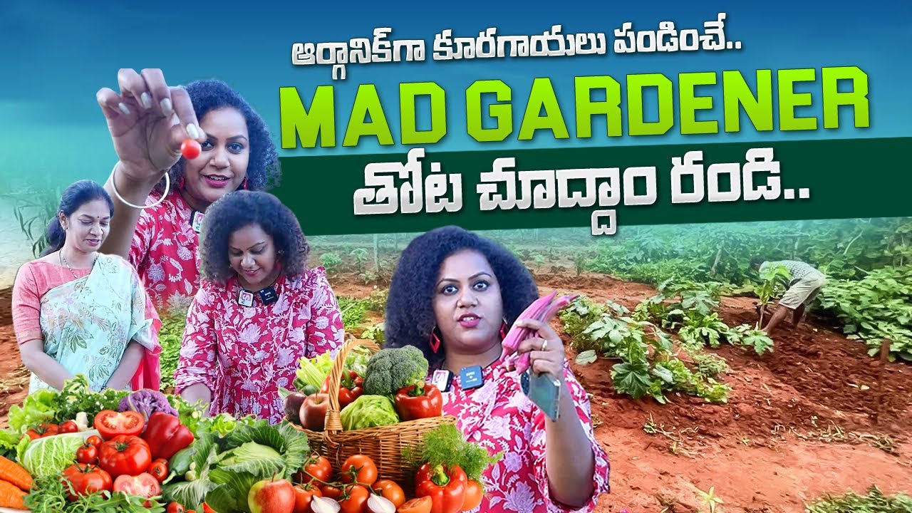 Mad Gardner Vegetable Farm Land Tour | Organic Vegetable Farming ...