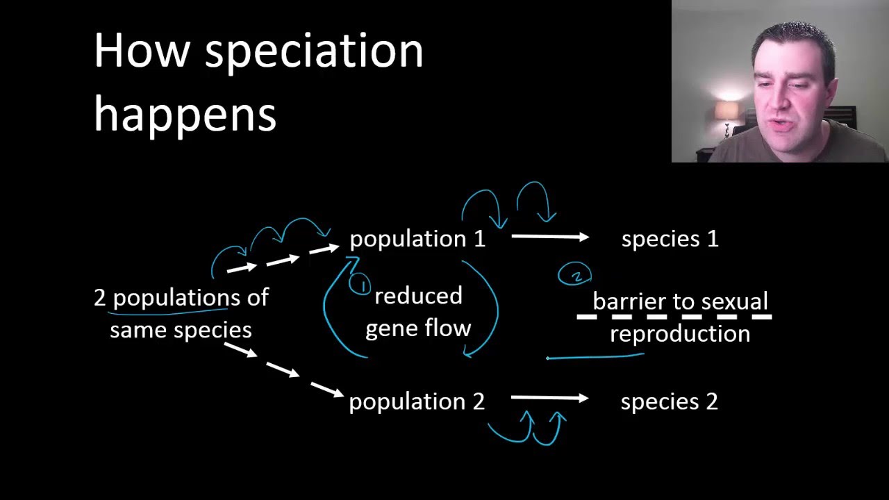 Speciation - YouTube
