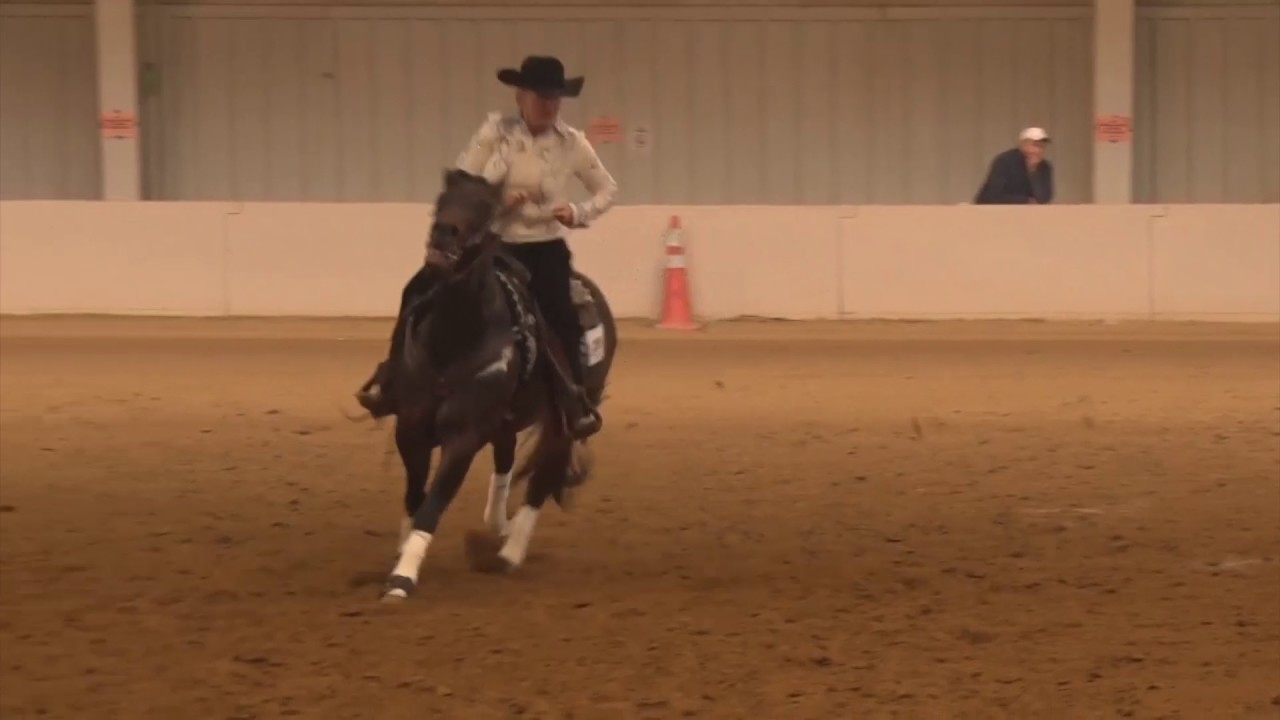 17325 Green Deborah Semple on FS Miss Kali Whiz - YouTube