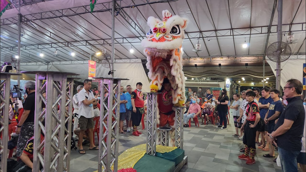 新加坡腾威體育會 Singapore Teng Wei Lion Leaping on High Poles Performances at ...