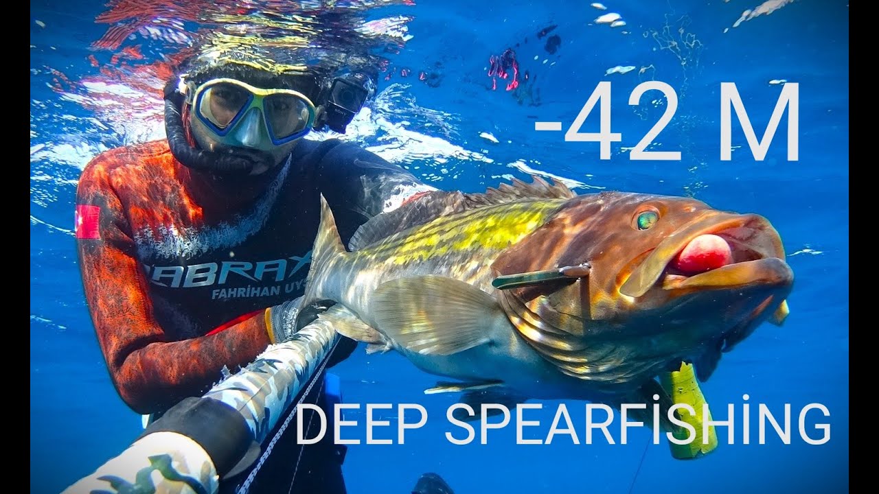 Taşların Bitiminden Bir Grida - Deep Spearfishing Golden Grouper ...