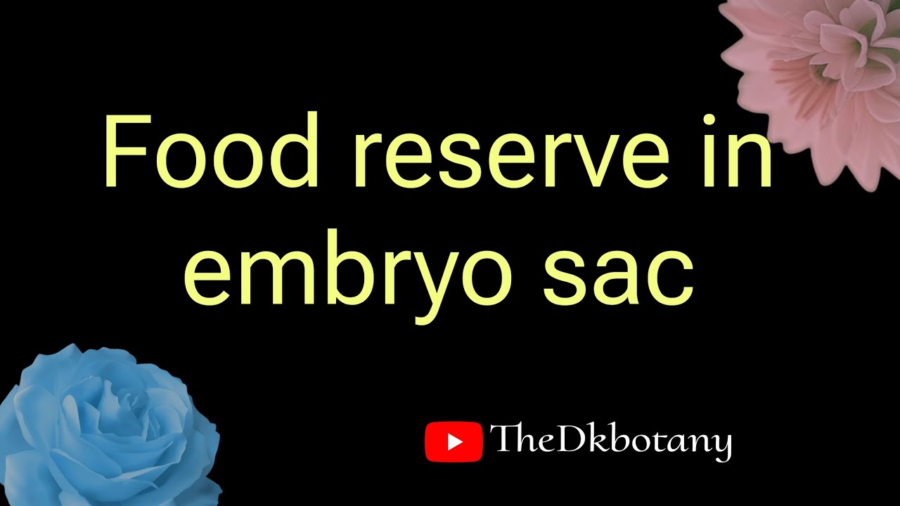 Food reserve in embryo sac| embryo sac food reserve| embryo sac| plant ...