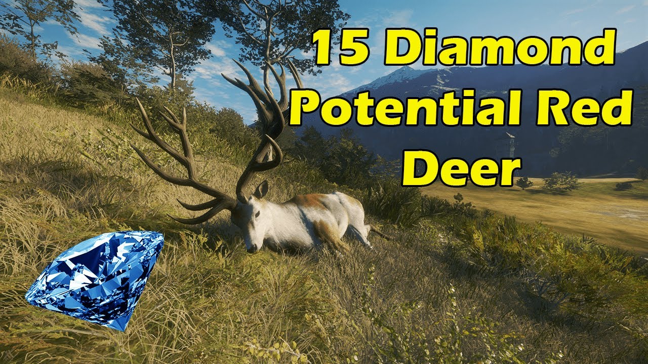 Shooting a Rare and 15 Diamond Potential Stacked Red Deer! Call of the ...