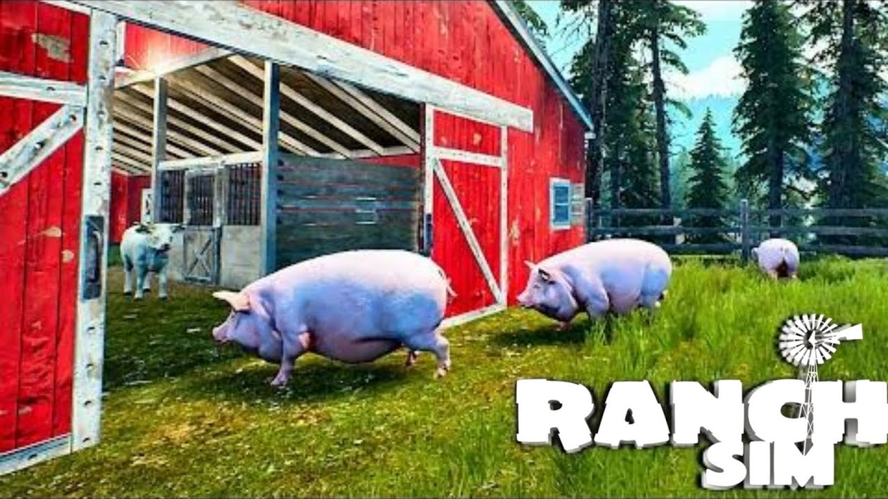 FINALLY PIG BARN READY | MORE PIG MORE MONEY 🤑 | I AM RICH 🤑 | RANCH ...