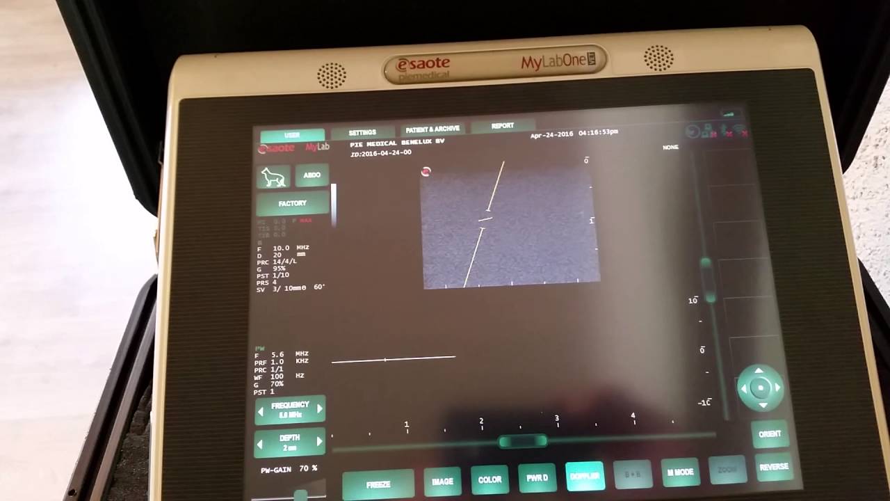 Esaote Mylab One Vet - YouTube