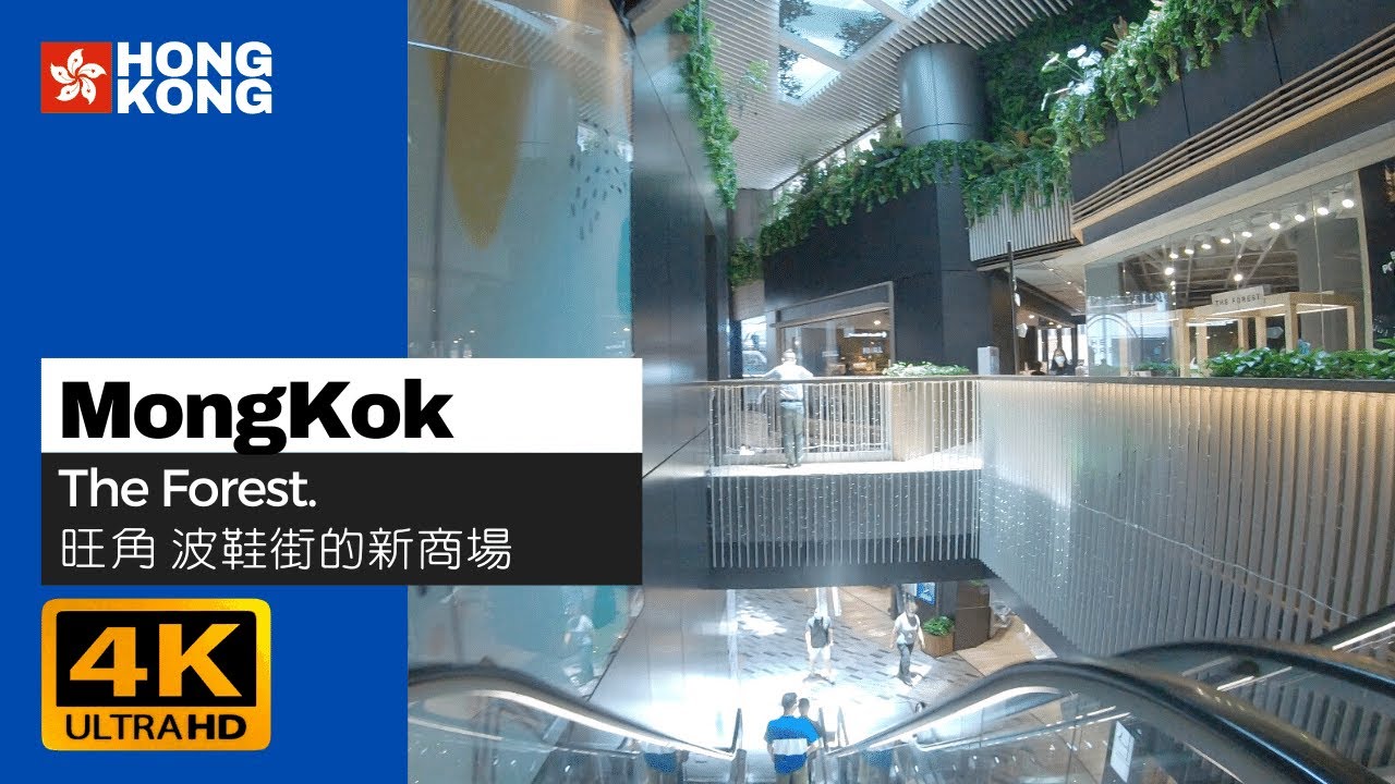 【4K】The Forest. New Shopping Mall in Mongkok. Hong Kong Walk Tour | 香港 ...