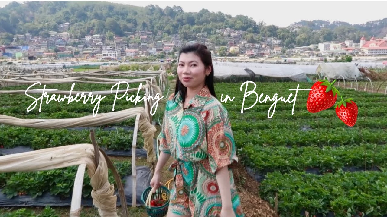 Strawberry Picking in Benguet + Strawberry Ice cream [TRAVEL] - YouTube