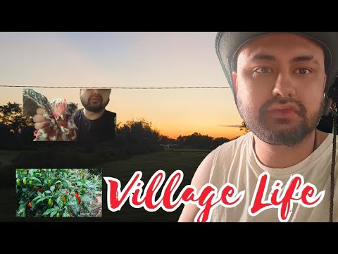 My native Village lifes part-1 - YouTube