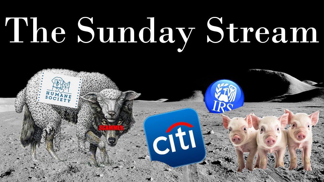 ICE vs IRS! Humane Society Scammers! Inhumane Piggy Treatment! | THE ...