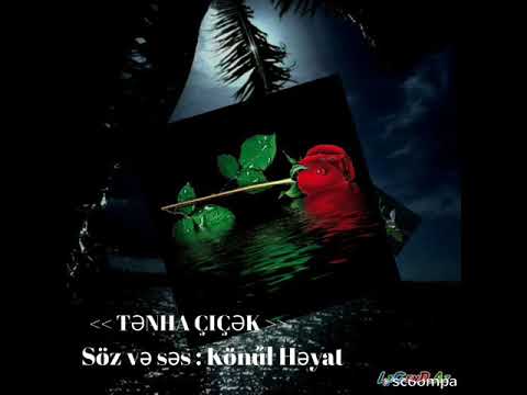Konul Heyat .Goycay .\
