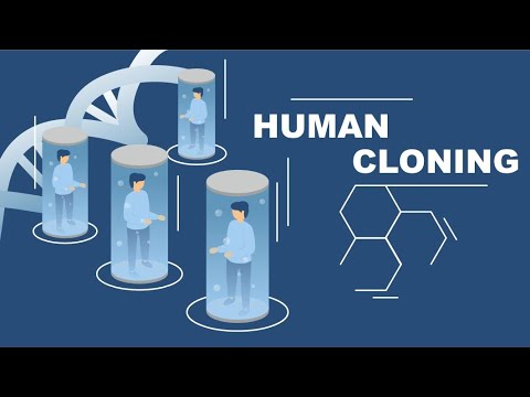 Learn about human cloning cloning.. - YouTube