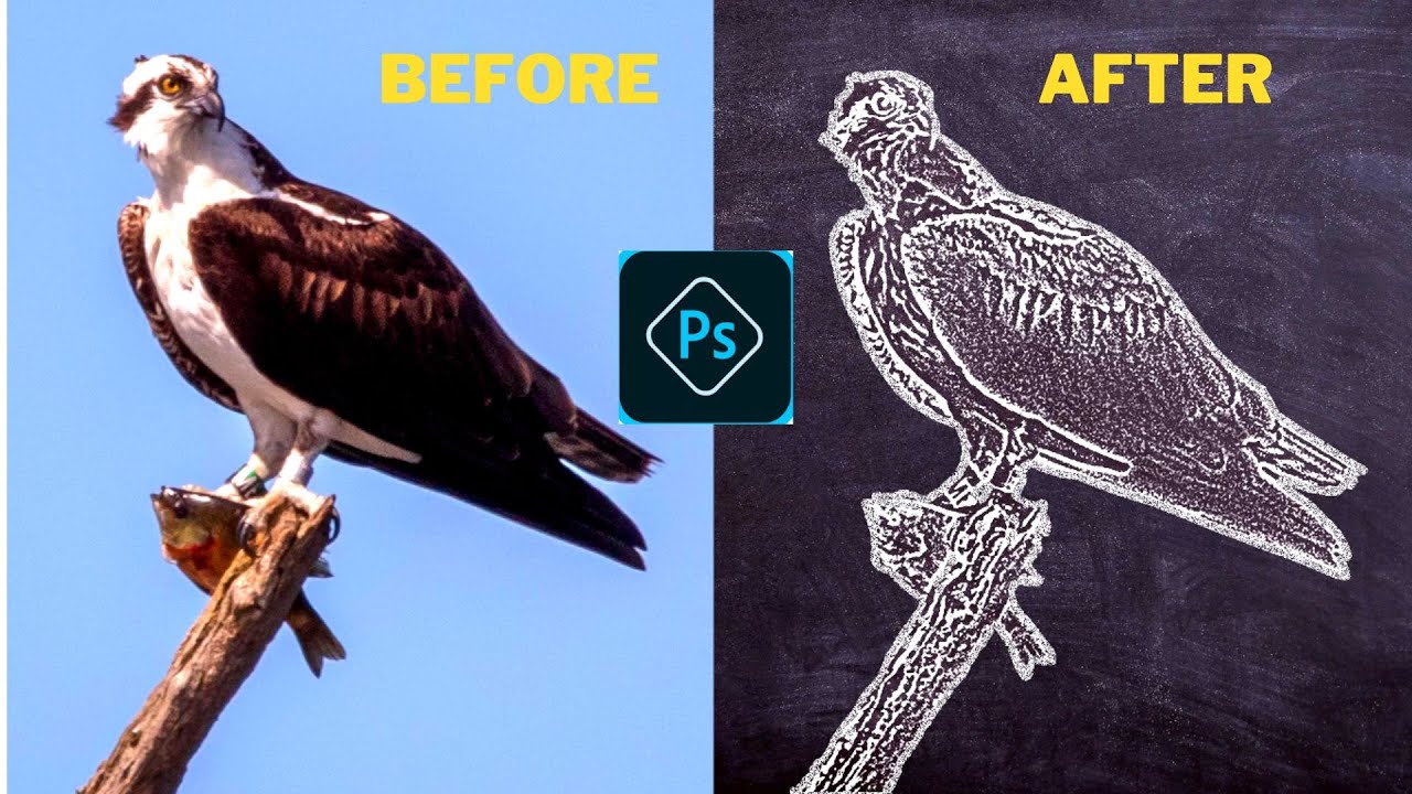 Chalk Effect Chalkboard Effect Short Photoshop Tutorial motion film ...