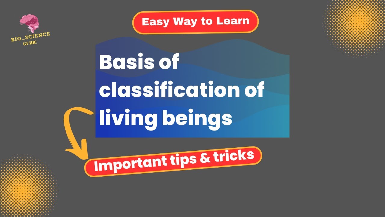 Bio_Science Guide| Basis of classification of livings beings - YouTube