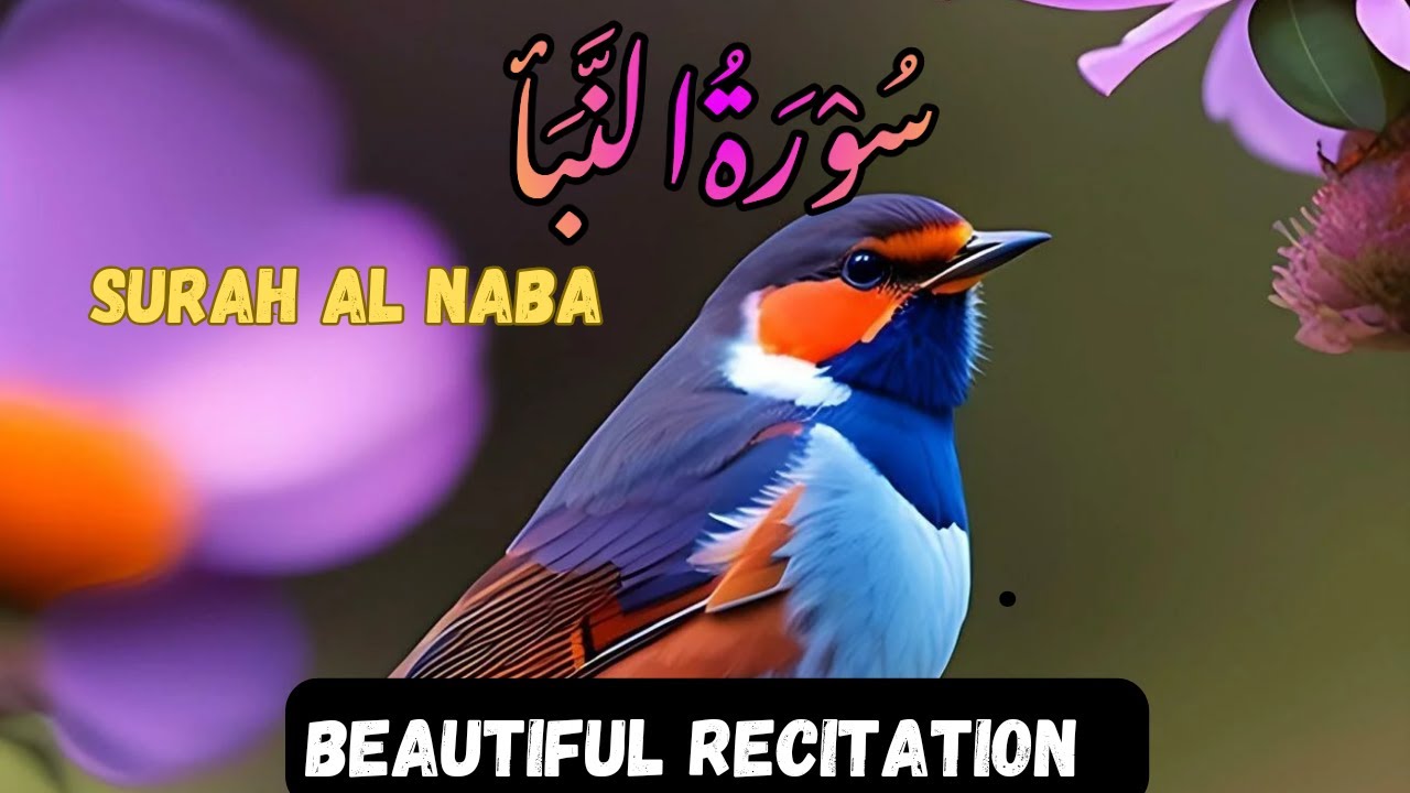 Surah Naba | Surah Naba With Urdu Translation | Surah Naba Abdul Rahman ...