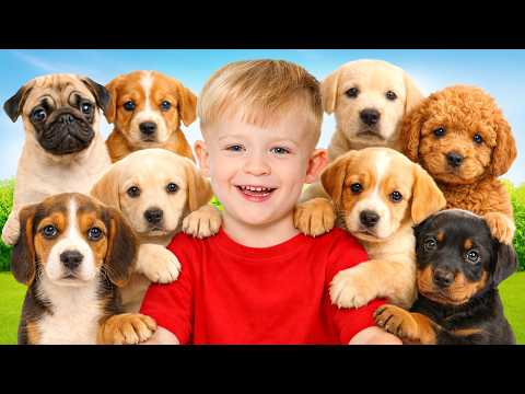 Adam Looks for the Lost Puppy + More Animal Stories