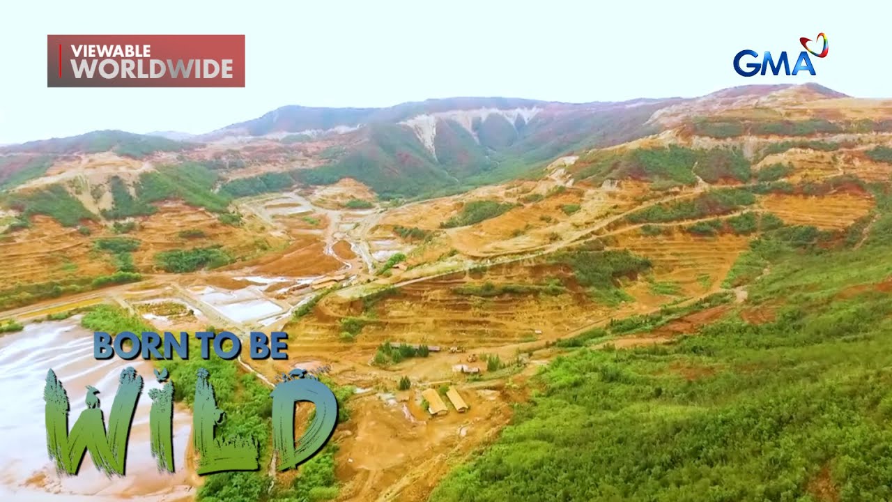 Ang Kalikasan At Kapaligirantula Youtube Yung Di Ka Marunong Kumanta