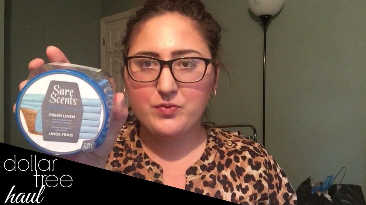 Quick and Dirty Dollar Tree Haul - YouTube