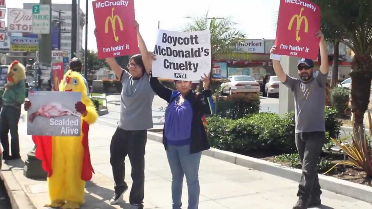 Peta 2 McCruelty Protest Los Angeles - YouTube