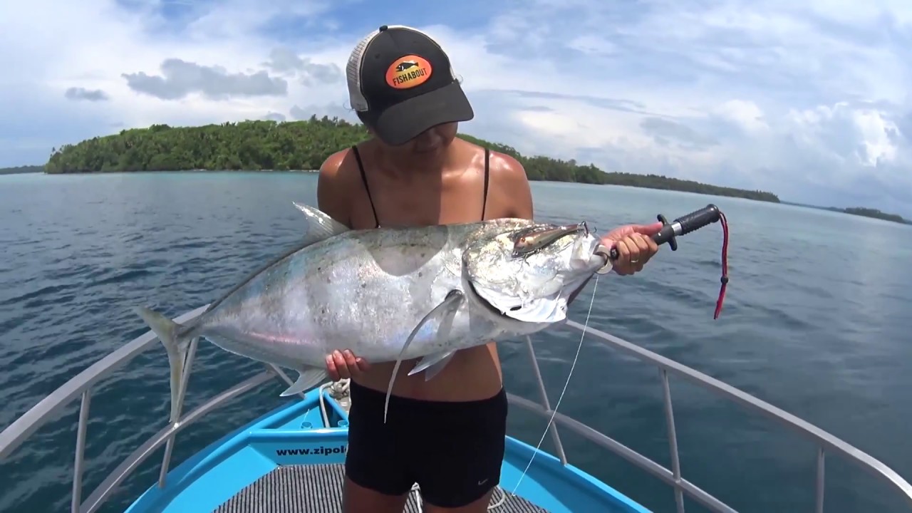 Hamachi nano stalker vs golden travelly - YouTube