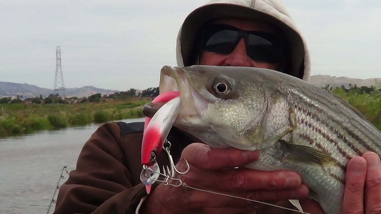 TROLLING ... HILL/ MONTEZUMA SLOUGH STRIPERS! - YouTube