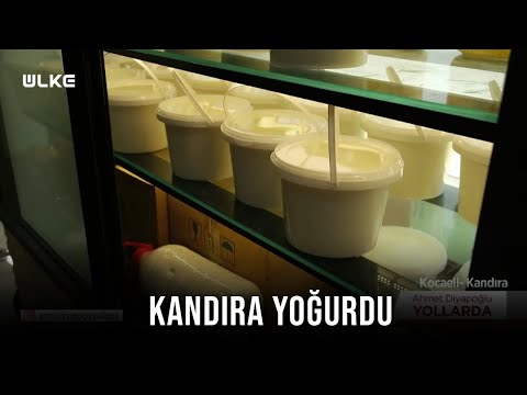 Kandıra'nın Meşhur Manda Yoğurdu Nasıl Yapılır? | Ahmet Diyapoğlu Yollarda