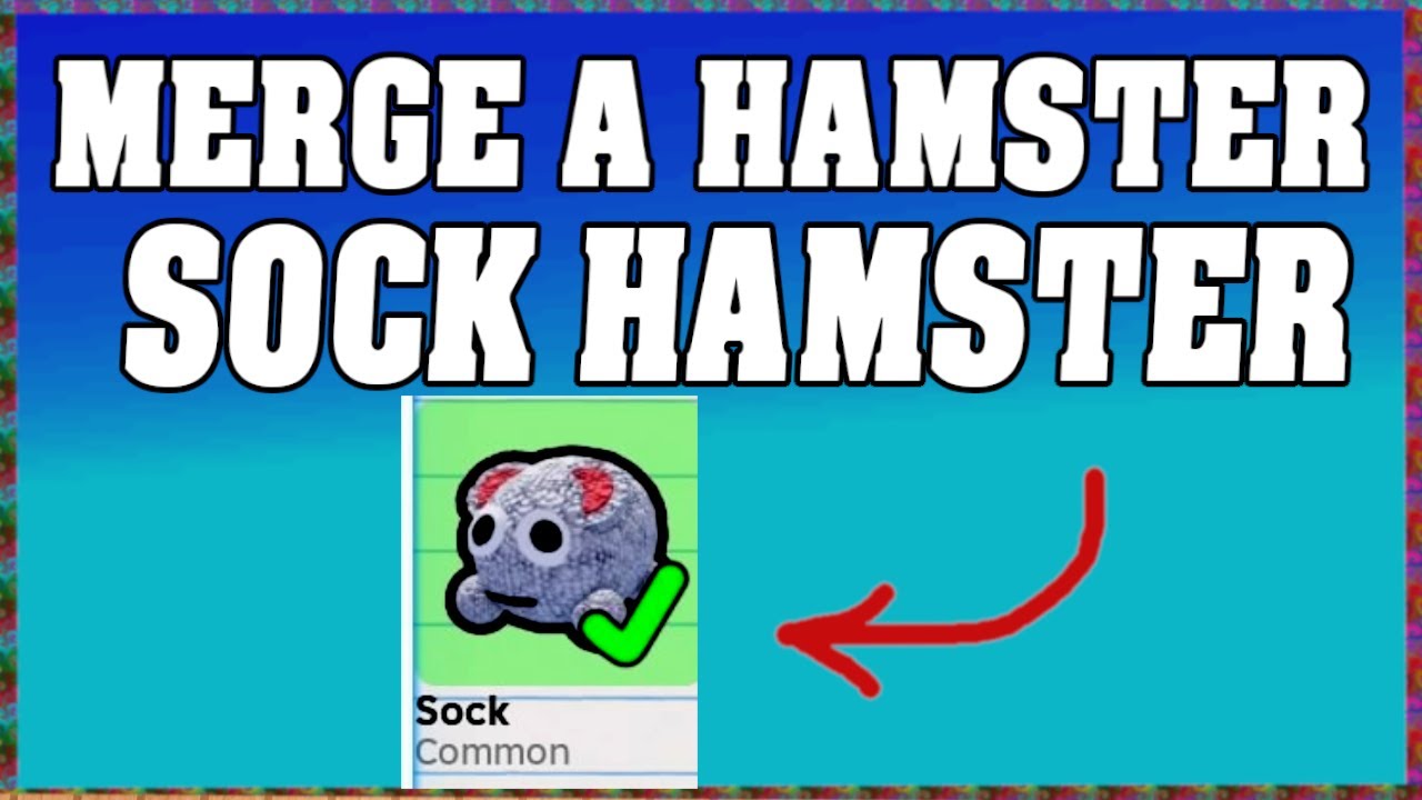 How To Get SOCK HAMSTER in MERGE A HAMSTER ROBLOX 🐹 [Update ...