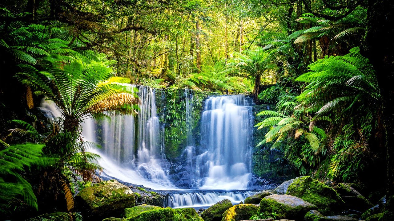 Relaxing Peaceful Soothing Music - Water Sounds, Bird Sounds, Sleep ...