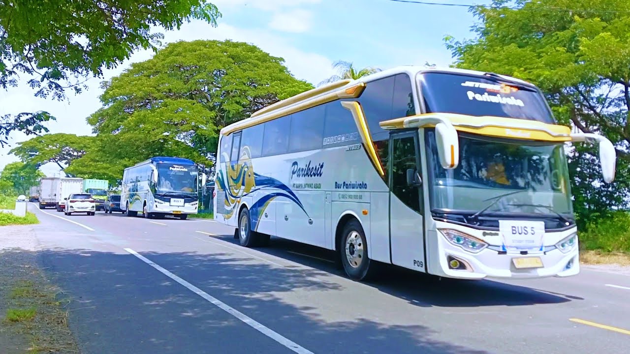 AKSI BUS PARIWISATA CONVOY ‼️BEST MOMENTS STUDY TOUR BERSAMA BUS ...