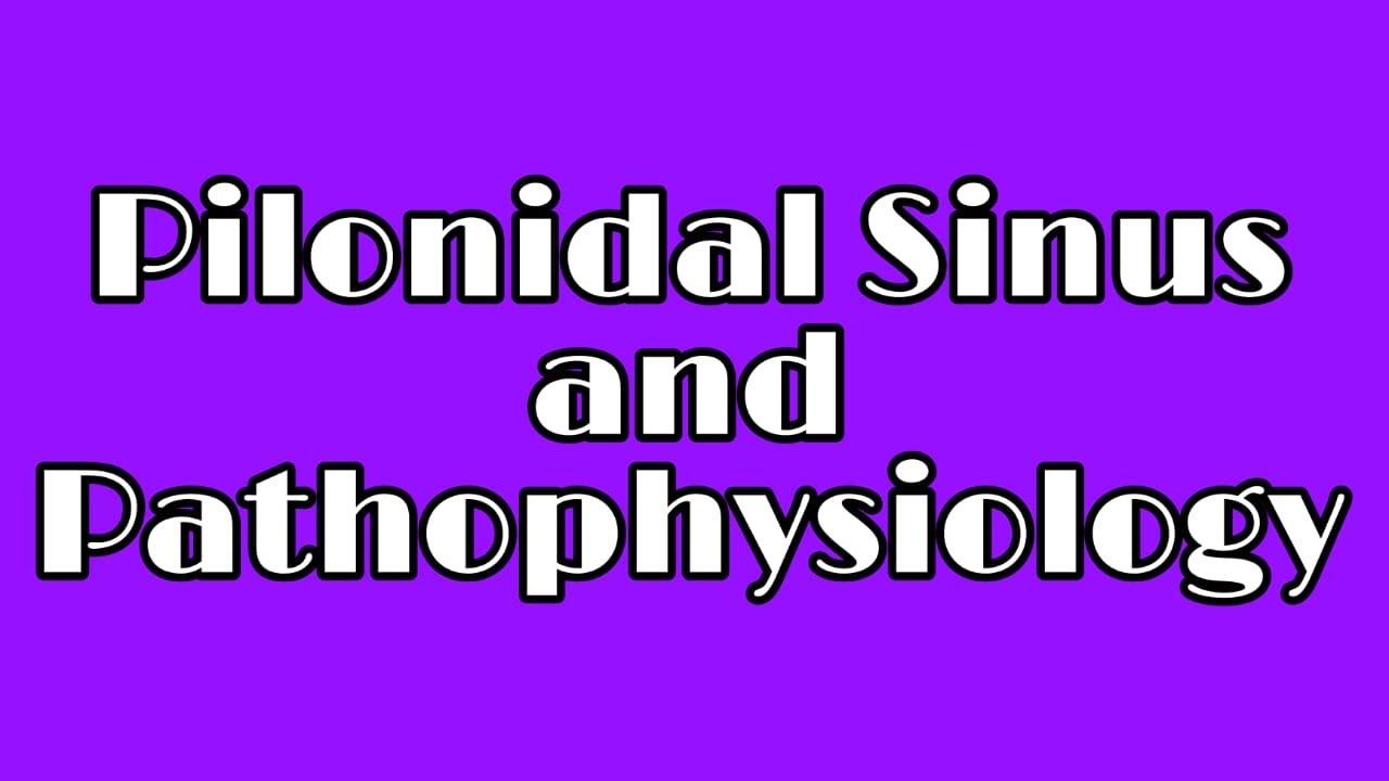 ||pilonidal sinus and pathophysiology||don't miss video|| - YouTube