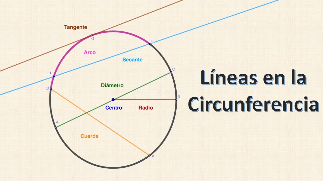 Líneas en la Circunferencia - YouTube