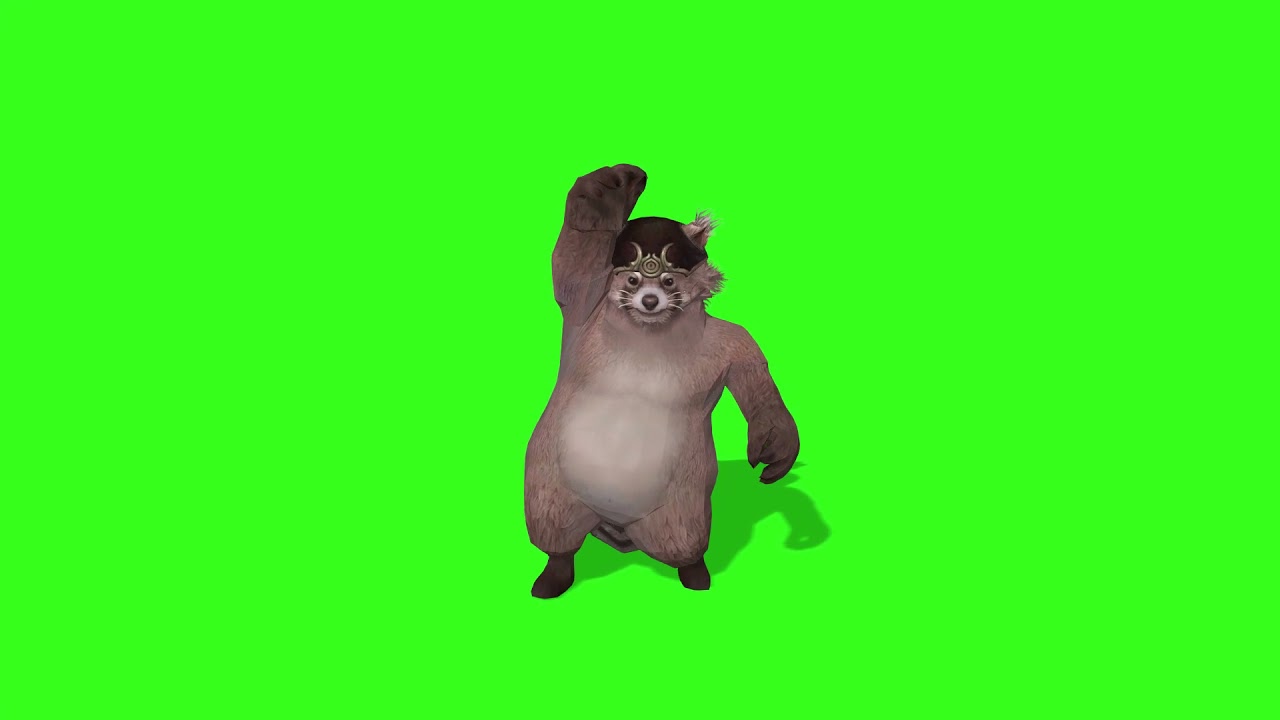 Грин скрин green screen dance animals raccoon 👍 - YouTube