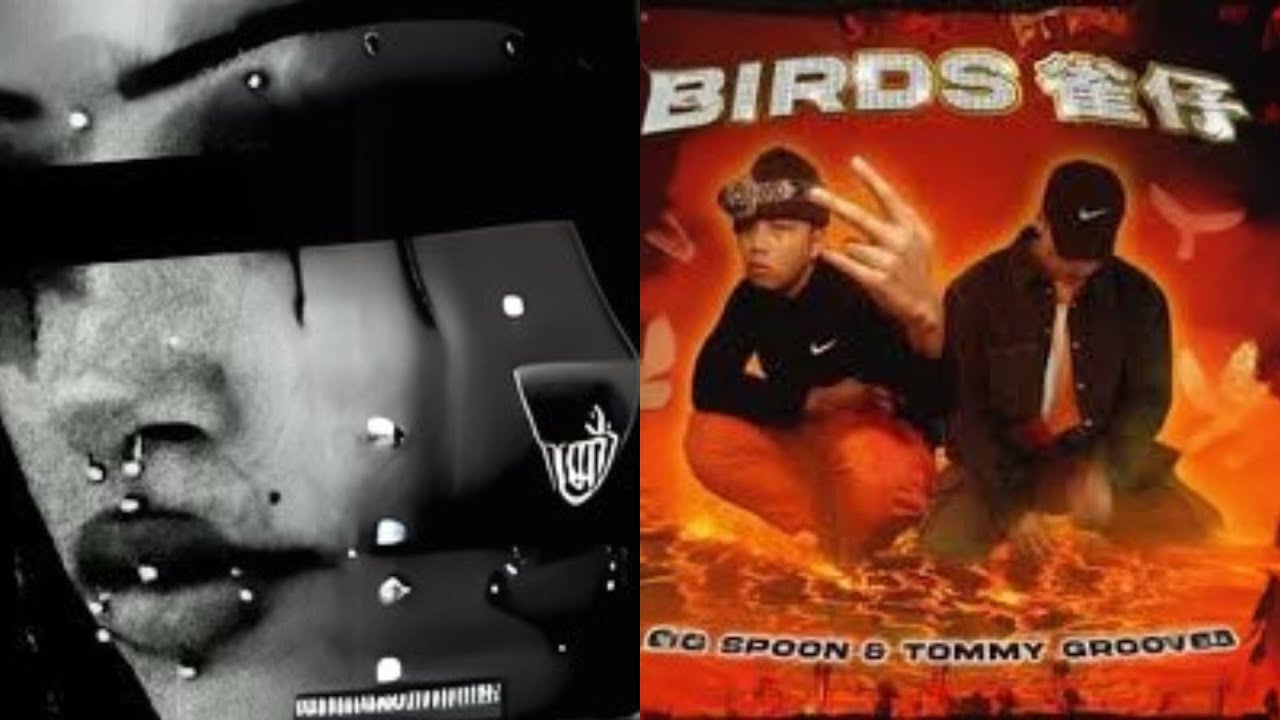 Birds in My Face - Big Spoon 大匙羹 X Tommy Grooves X Devstacks (Diamonds ...