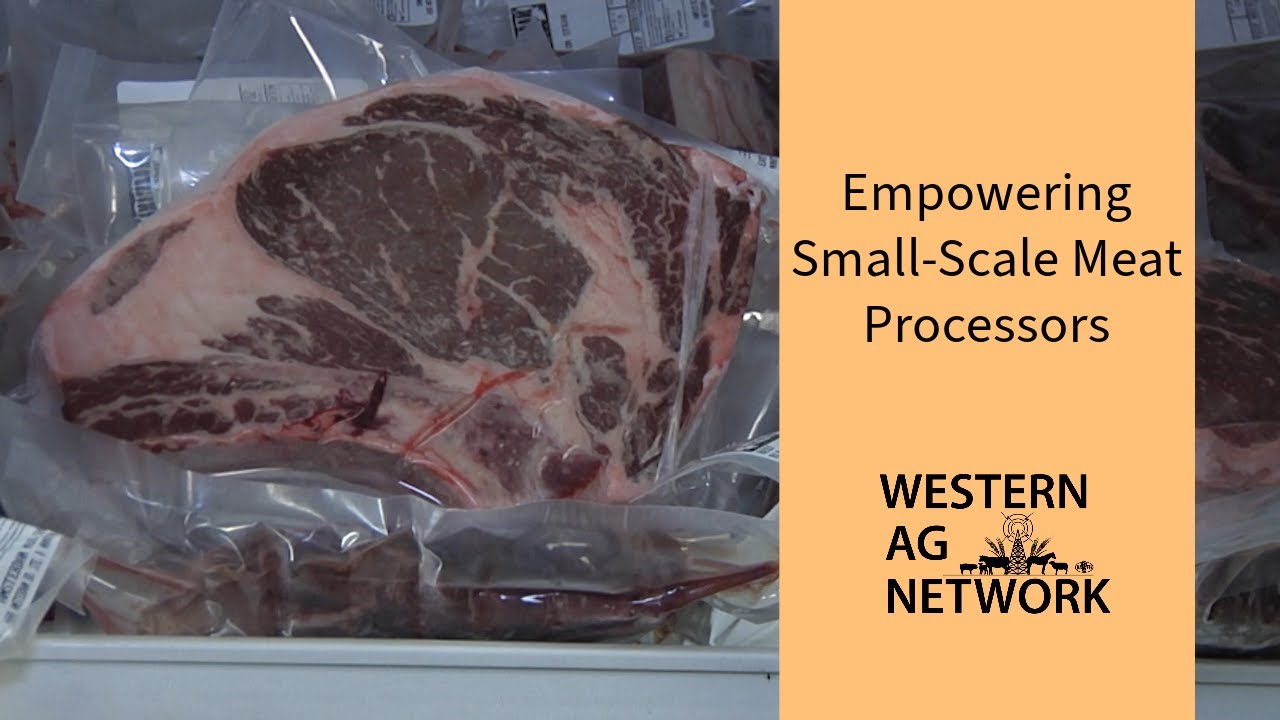 Empowering Small-Scale Meat Processors - YouTube