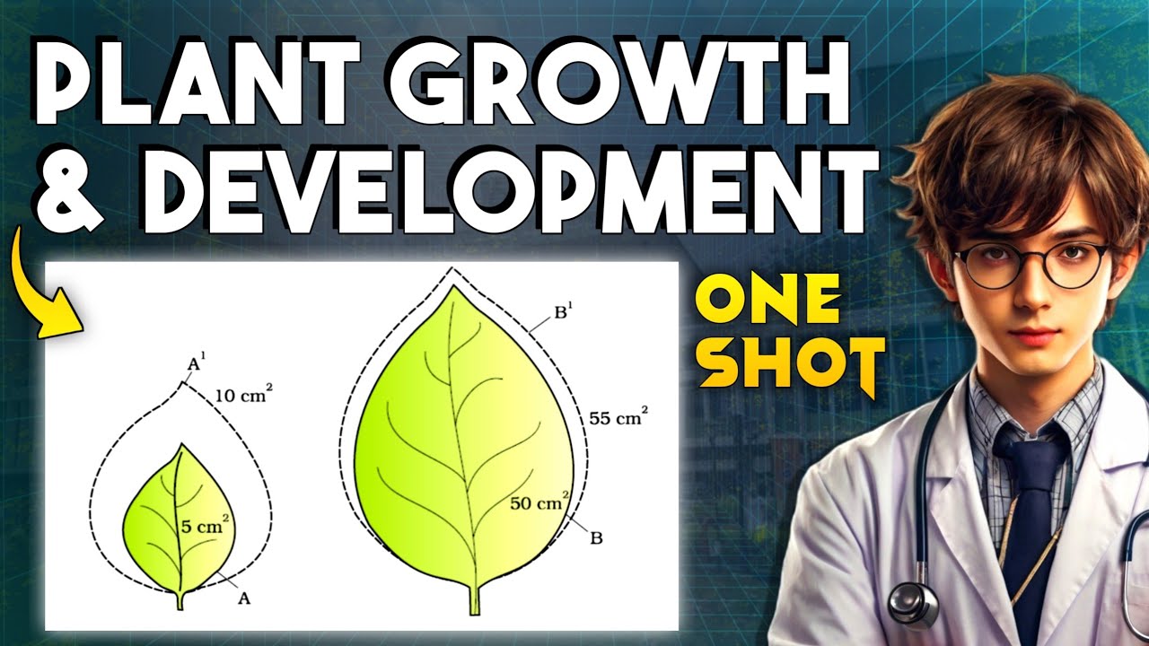 Plant Growth And Development ONE SHOT (with Tricks)🔥 | Class 11 Biology ...
