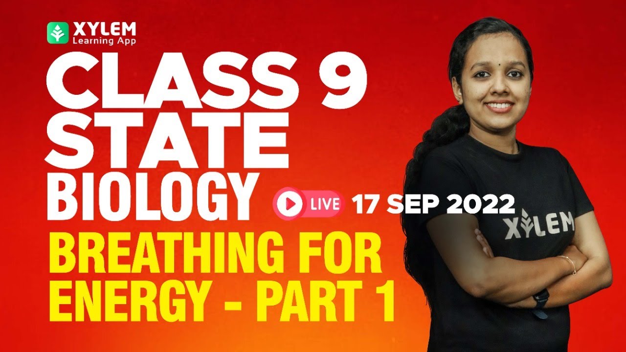 Class 9 - BIOLOGY - BREATHING FOR ENERGY - PART 1 | XYLEM CLASS 9 - YouTube