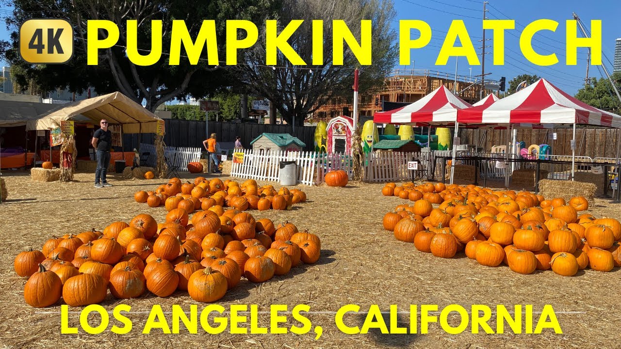 [4K] WALKING TOUR SHAUN's PUMPKIN PATCH in Los Angeles, California ...