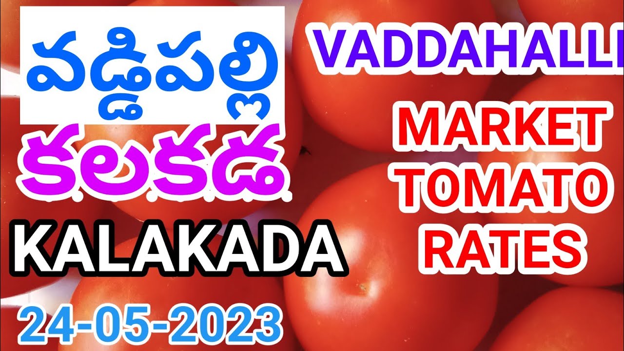 24-05-2023#KALAKADA AND VADDAHALLI MARKET TOMATO RATES - YouTube