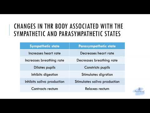 Changes in the body through the sympathetic and parasympathetic states ...