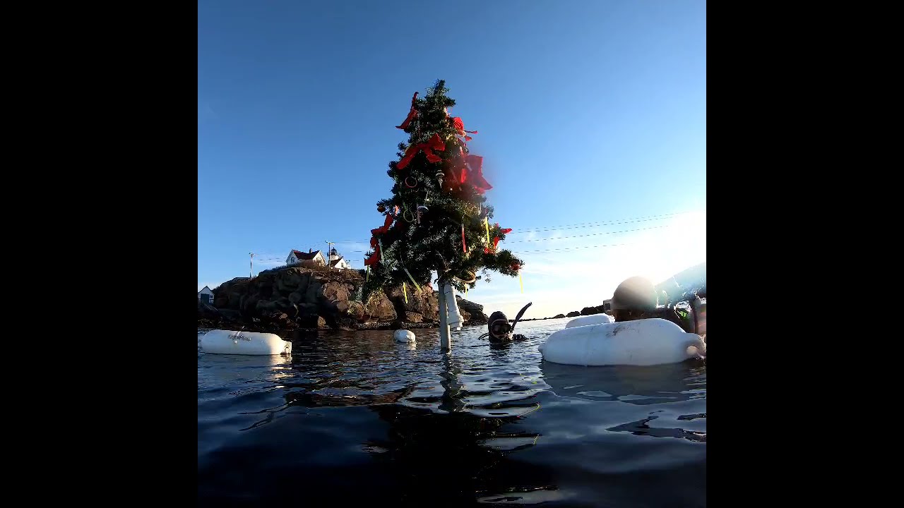 Nubble Light Tree Dive 2021 - York, ME - YouTube