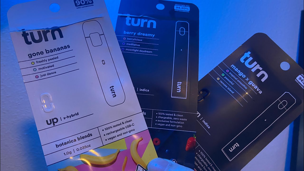 2 BLINKERS CART REVIEW TURN - GONE BANANAS & BERRY DREAMY🫐feat my 🐶 ...