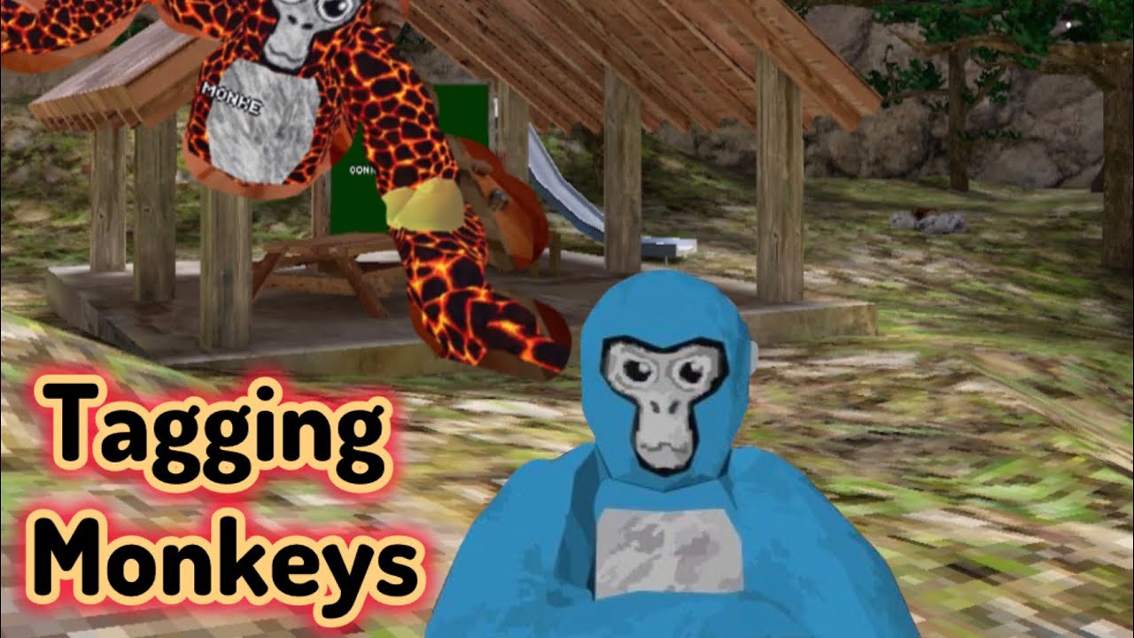 Tagging monkeys in infection lobbies with my friend (gorilla tag vr) # ...