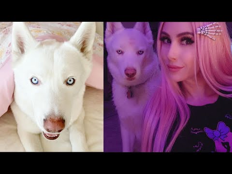 What Happened To Astro?