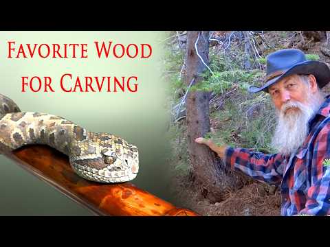 Finding the Best Wood for a Rattlesnake Walking Stick