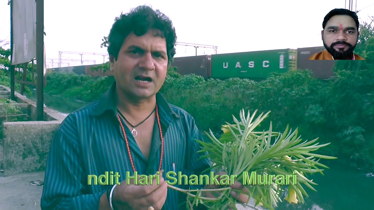 Kaner Se Maran prayog 100% Kare || कनेर के टहनी के कलम से यन्त्र बनाकर ...