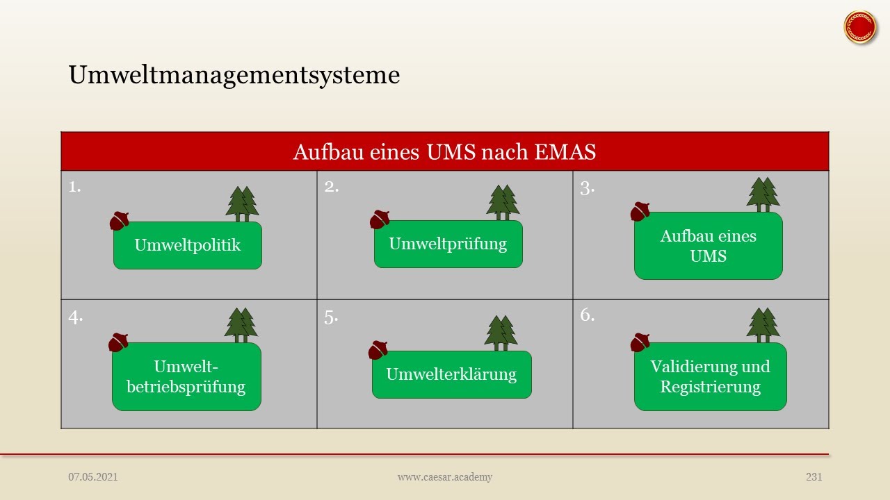 Aufbau eines Umweltmanagementsystems - 👨🏼‍🎓 EINFACH ERKLÄRT 👩🏼‍🎓 - YouTube