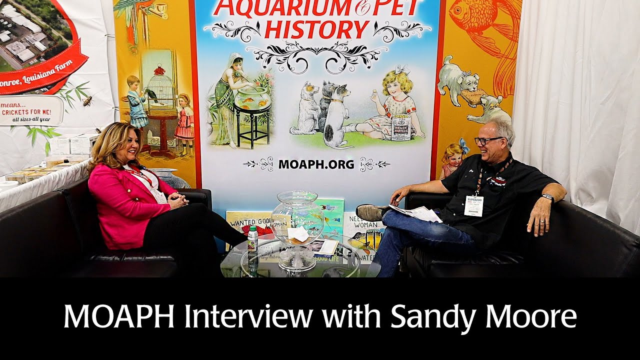 MOAPH Interview with Sandy Moore - YouTube