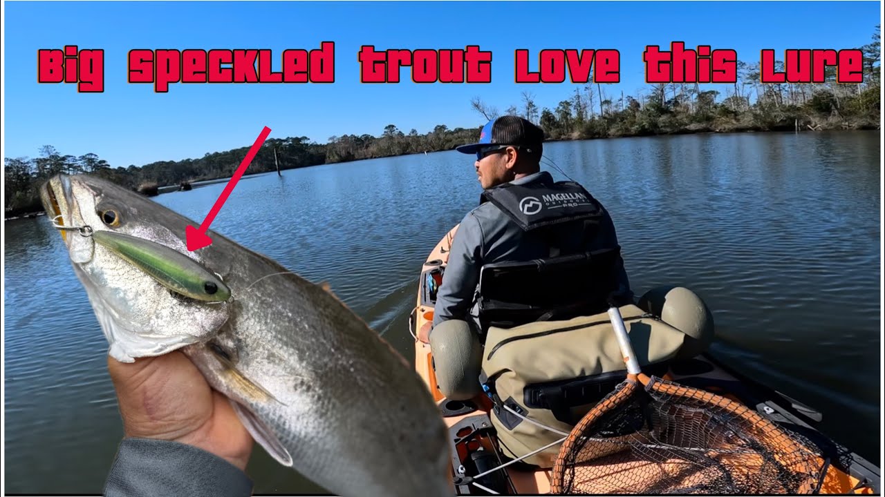 Big speckled trout love this lure - winter speckled trout fishing south ...